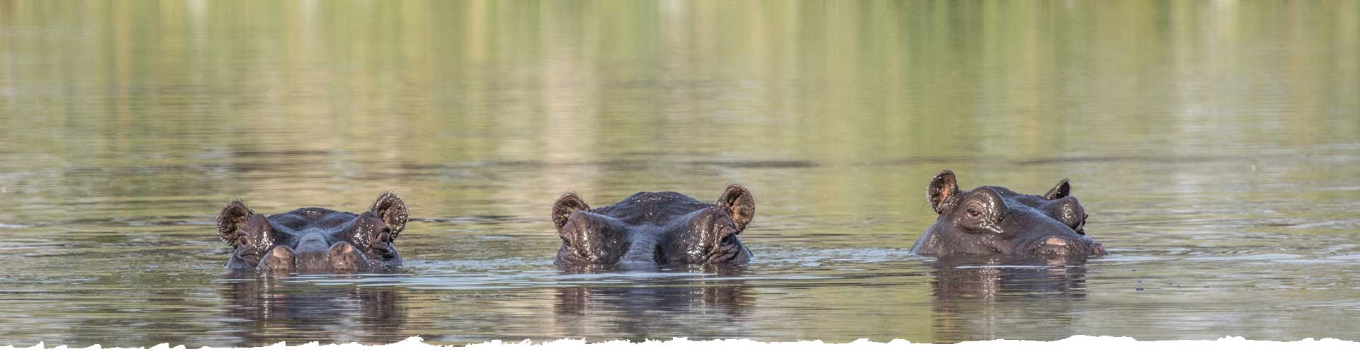 Combi Namibia Itinerary. Never ending horizons, exceptional wildlife ...